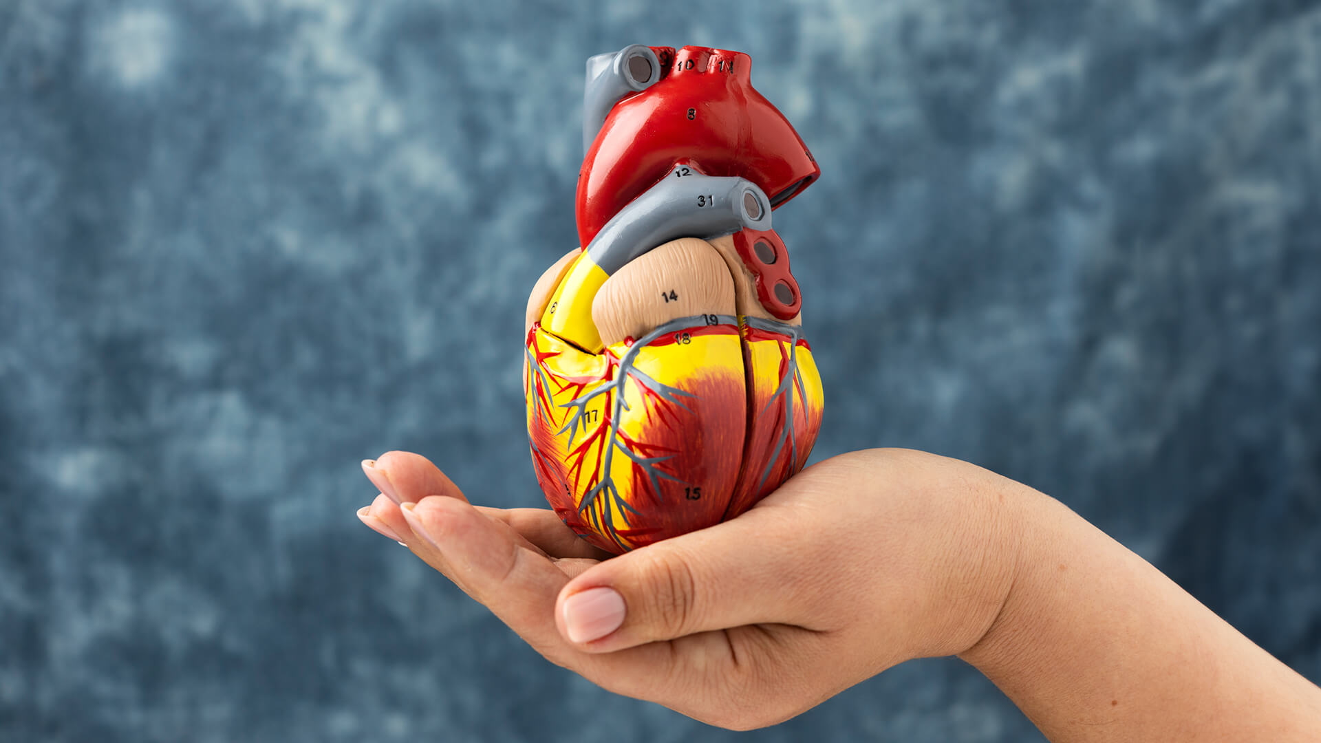 Simple Heart Health Tips: Keep Your Heart Happy and Healthy - Diataal